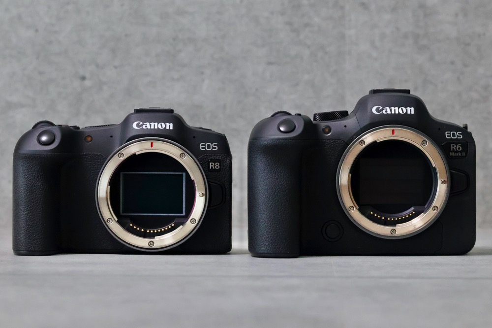 EOS R8 EOS R6 Mark II 13 8000 