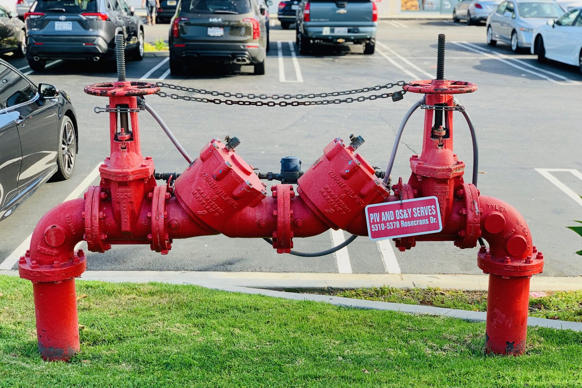 LiLiCo連載vol.3 ロサンゼルス旅行記【昭和45年女】 | Dig-it [ディグ・イット]